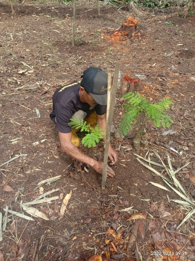 Pemdes Tanjungsari Tanam Ratusan Pohon – Radartasik.id