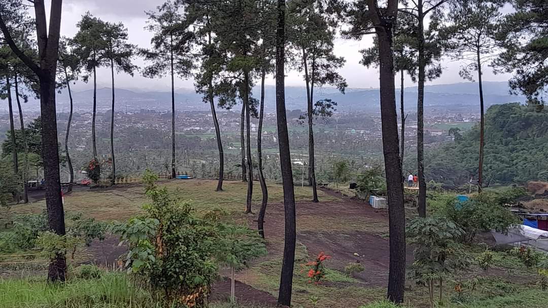 Tak Ada Tiket Masuk, Camping di Bukit Tegal Malaka, Memandang Kerlap ...
