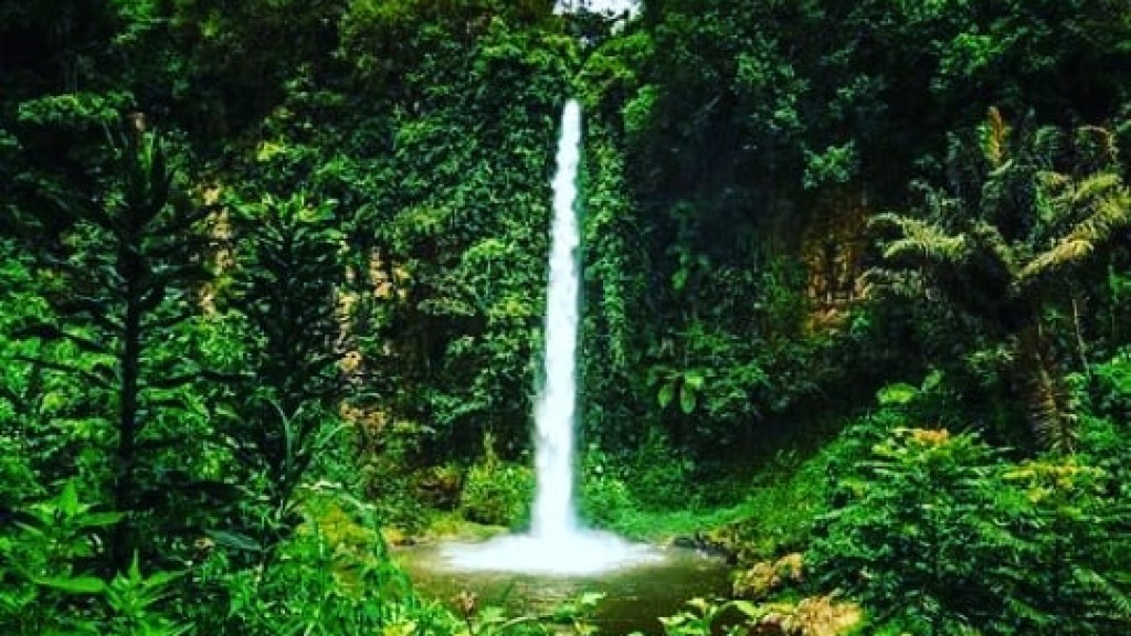 5 Curug di Bandung yang Bisa Camping, Salah Satunya Adalah Air Terjun ...