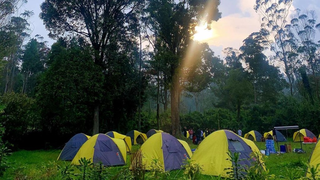Camping Ground Ranca Upas Ciwidey, Segini Biayanya! – Radartasik.id