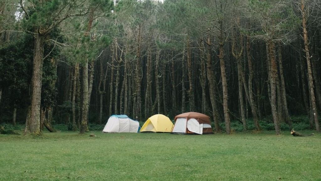 Jungle Milk, Tempat Camping Sekaligus Piknik di Daerah Lembang dengan ...