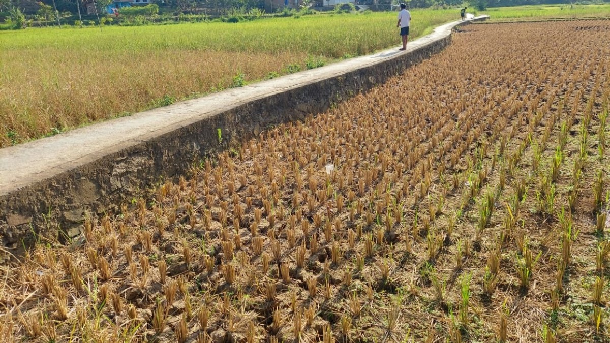 Kemarau Panjang, Belasan Ribu Warga Kabupaten Tasikmalaya Kekurangan Air Bersih – Radartasik.id