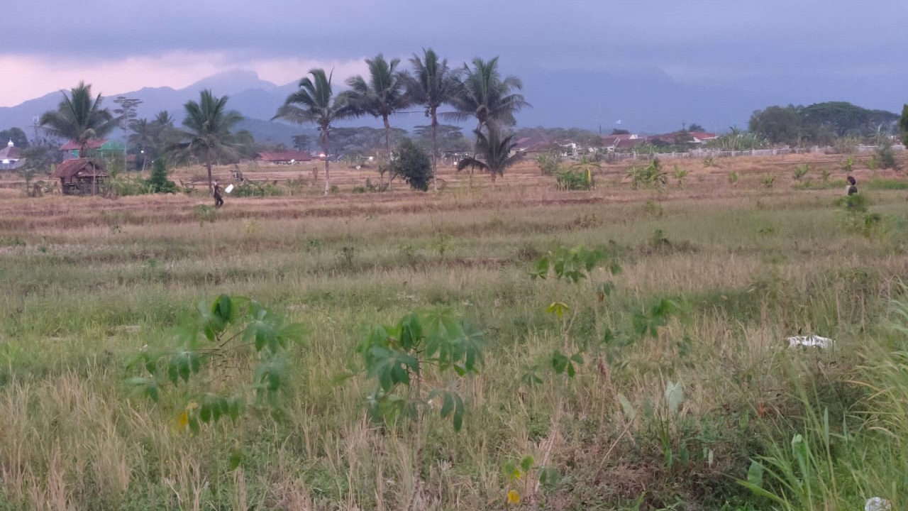 Pembangunan Sirkuit Road Race Ciamis Akan Habiskan Rp 60 Miliar ...