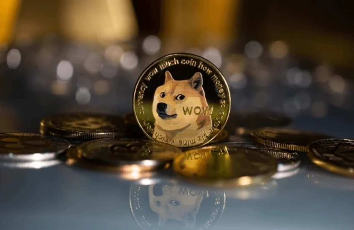 Sekarang Dogecoin Anjlok atau Naik? Simak Update Harga Dogecoin Hari Ini! – Radartasik.id