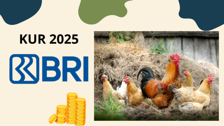 Bisa untuk Modal Bisnis Peternakan, Ini Skema Angsuran KUR BRI 2025 ...